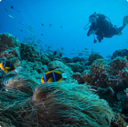 Dive Admin - Software for Dive Centers and Dive Schools