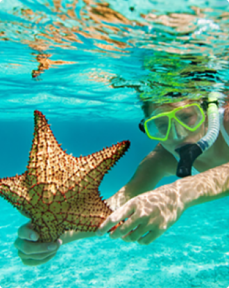 Dive Admin - Software for Dive Centers and Dive Schools